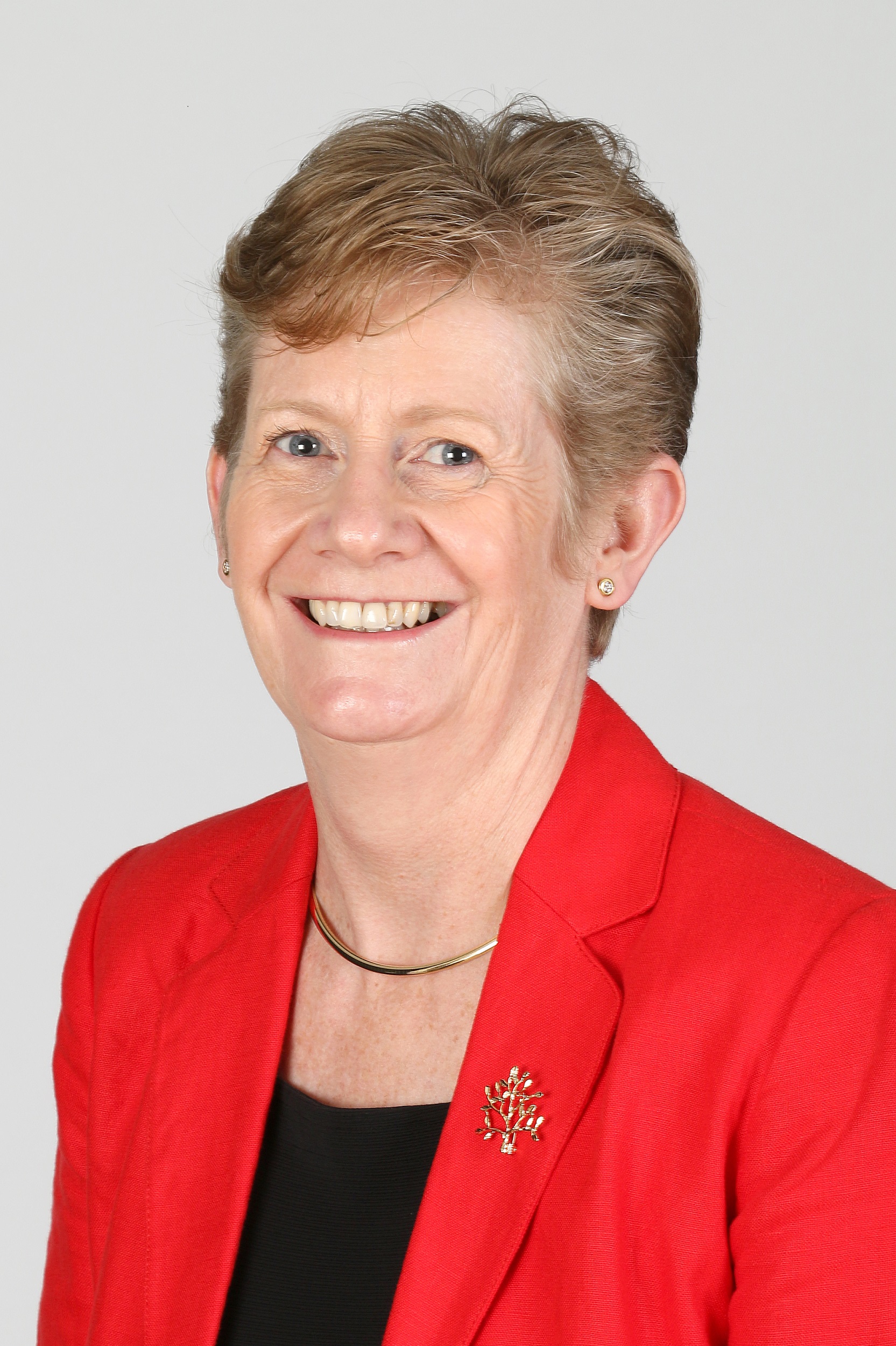 Supporters and judges – The Heather Trickey Essay Prize